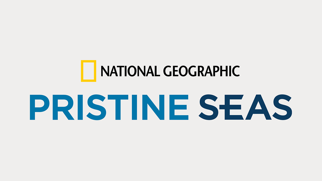 Safeguarding the future of oceans and the planet | LGT